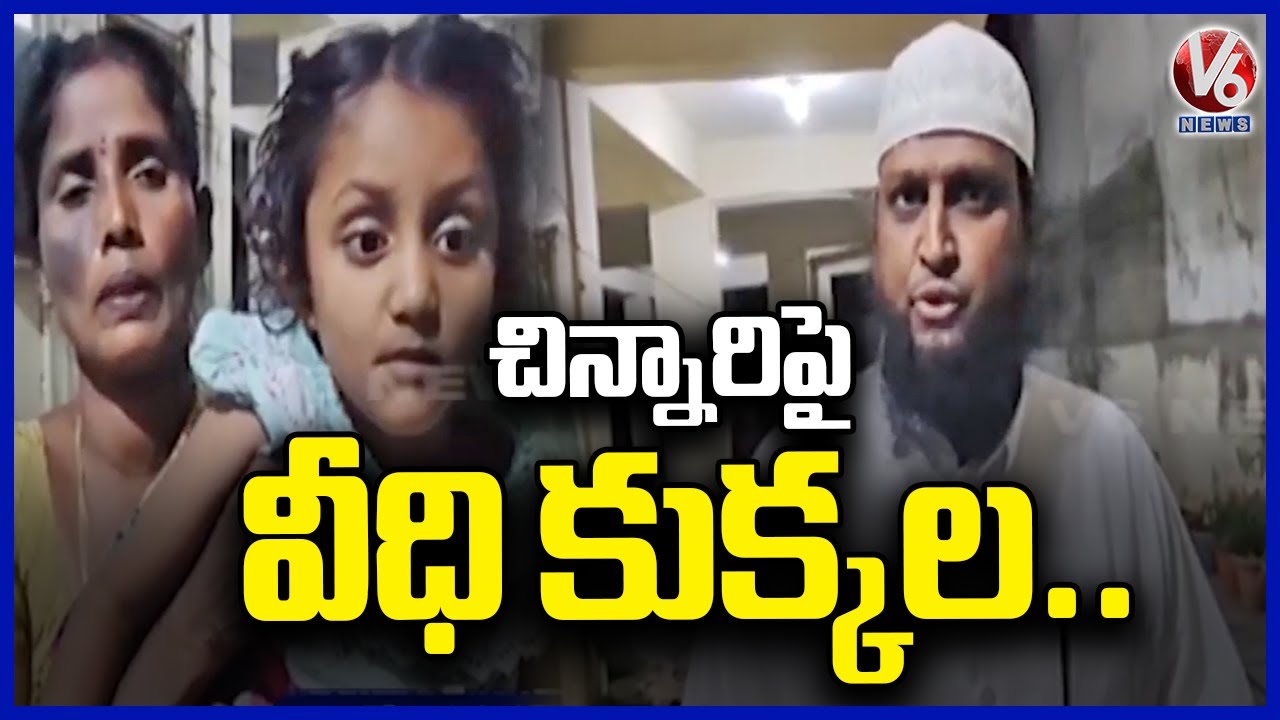 Street Dogs Attack On Girl Child At Rajendra Nagar | Ranga Reddy ...
