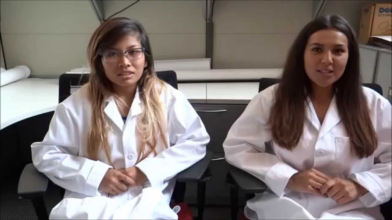 The Process of Measuring Oxygen Consumption Rate (2015) - YouTube