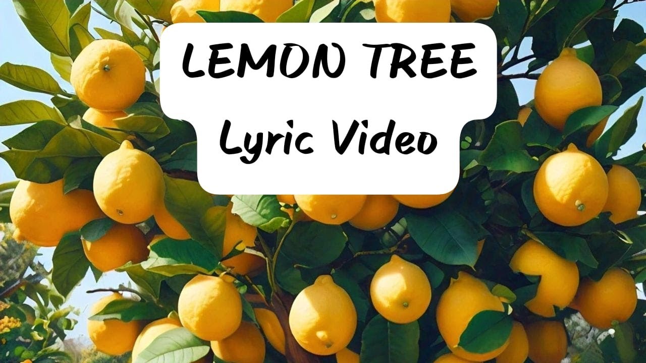 Lemon Tree Lyric Video NO OFICIAL - YouTube