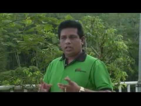 Evergreen Tea factory Galle Srilanka Biogas introduction eco friendly ...