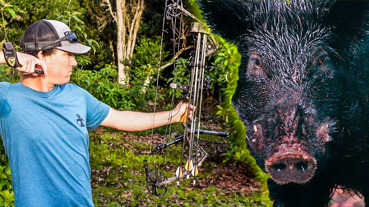 WILD Hawaiian HOG HUNT {CATCH CLEAN COOK} - YouTube