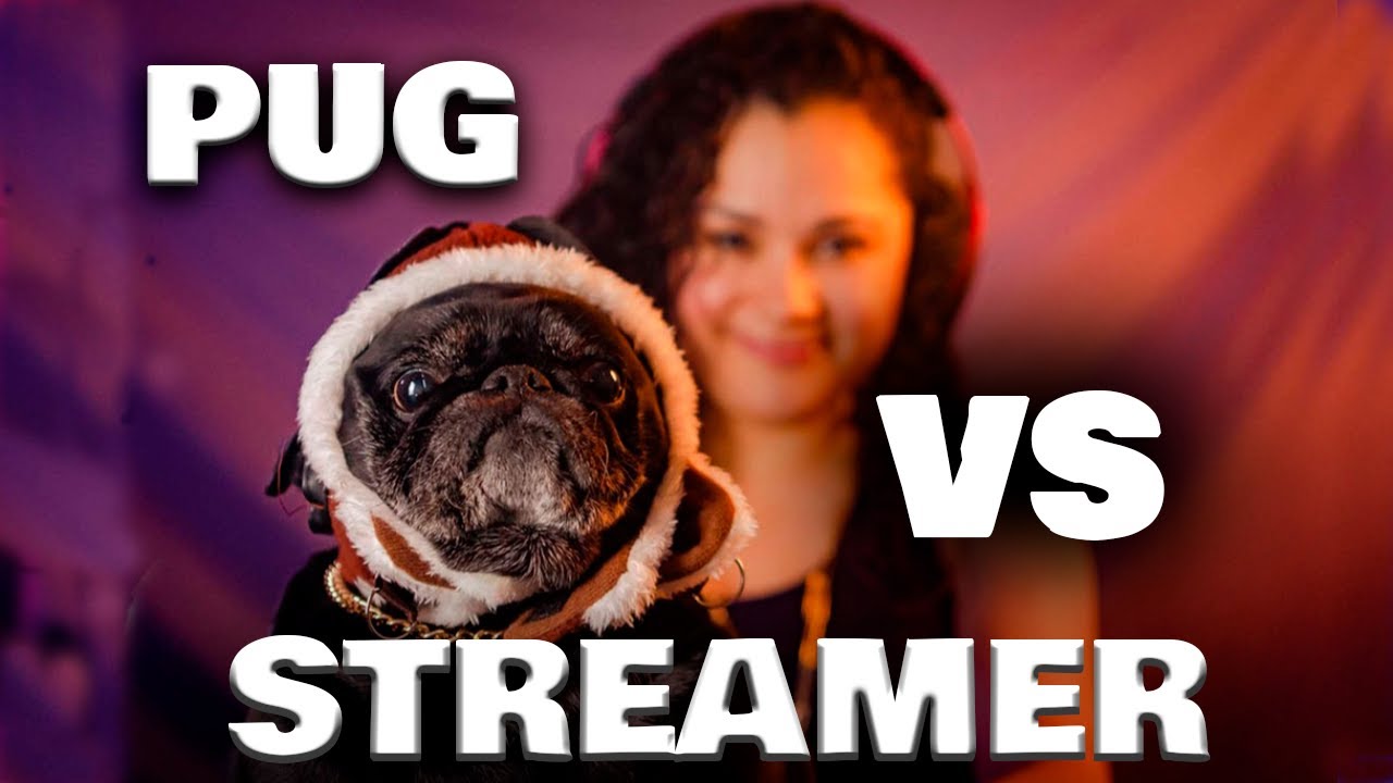 Bienvenidos a Streamer VS Pug - YouTube