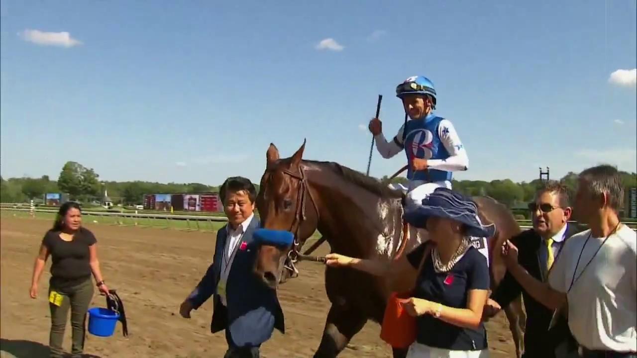 2017 Forego Stakes - YouTube