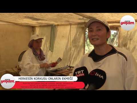 HERKESİN KORKUSU ONLARIN EKMEĞİ