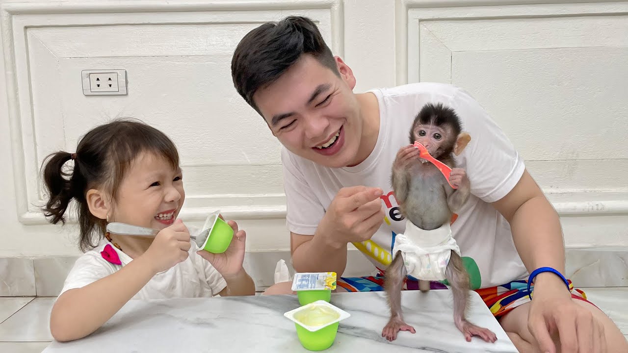 Smart Baby Monkey Annie eats yogurt by itself - YouTube