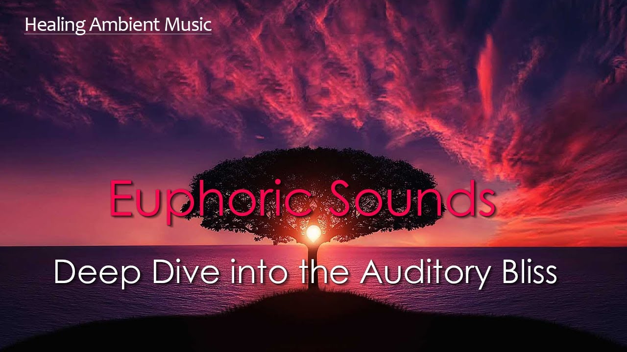 (3 Hours) Euphoric Sounds - Deep Dive into the Auditory Bliss 1 - YouTube