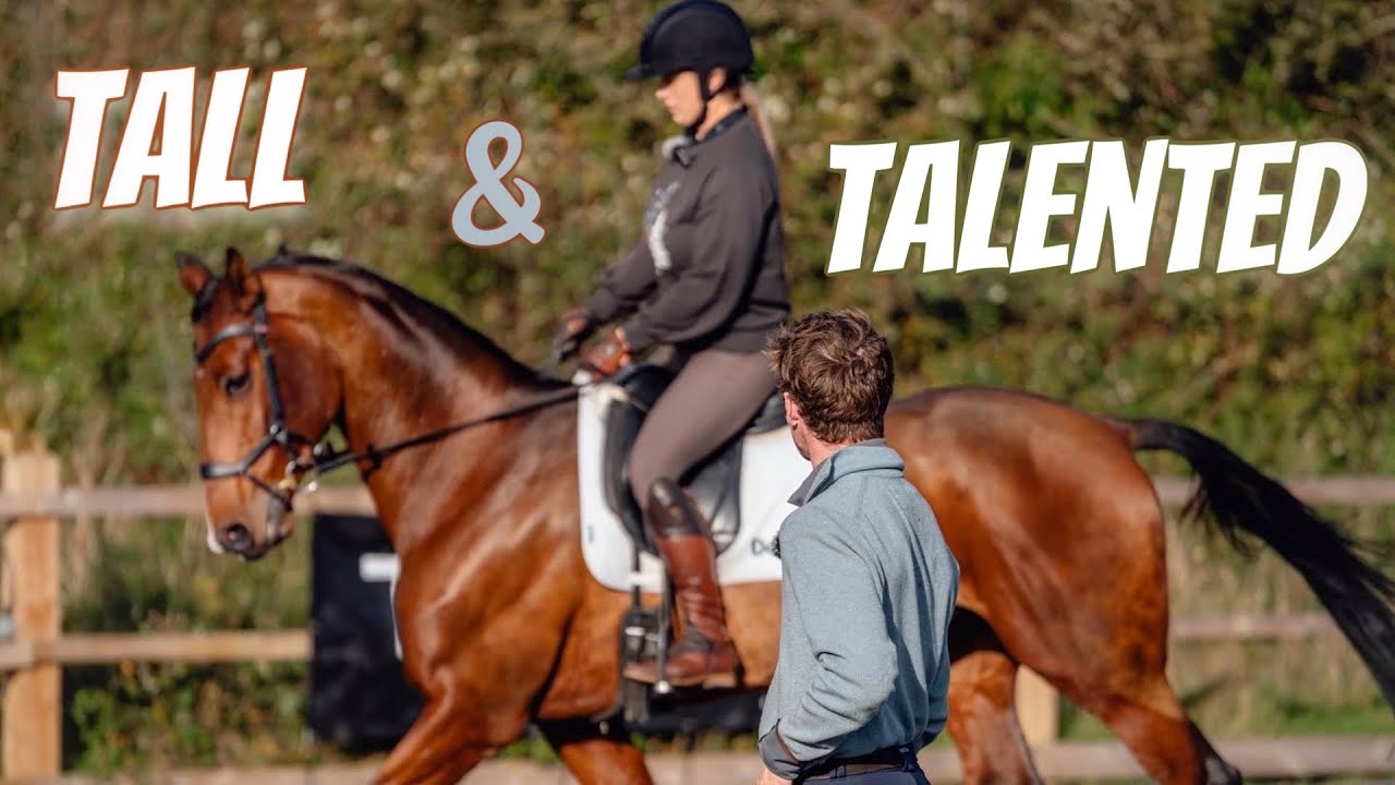 RIDING MY INSTRUCTORS TOP EVENT HORSE | She’s Tall and Talented!! - YouTube