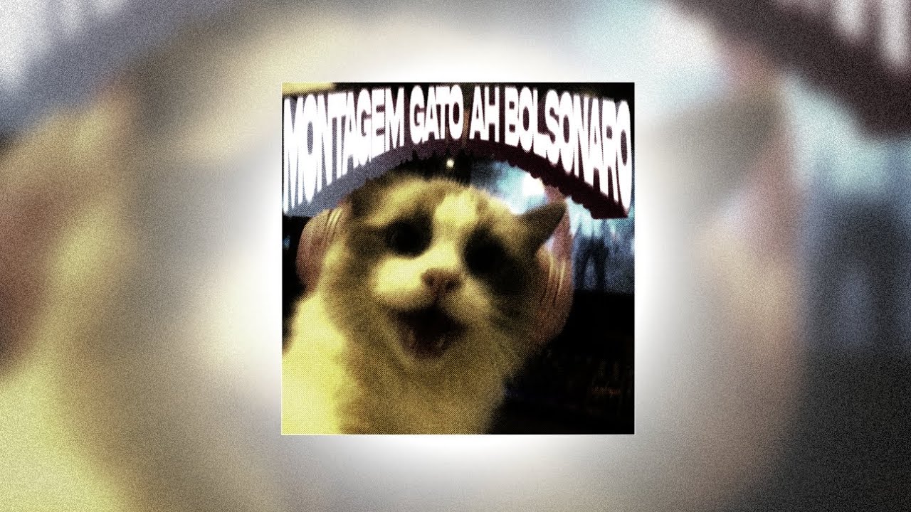 MONTAGEM GATO AH BOLSONARO - DJ WRIXMANE - YouTube