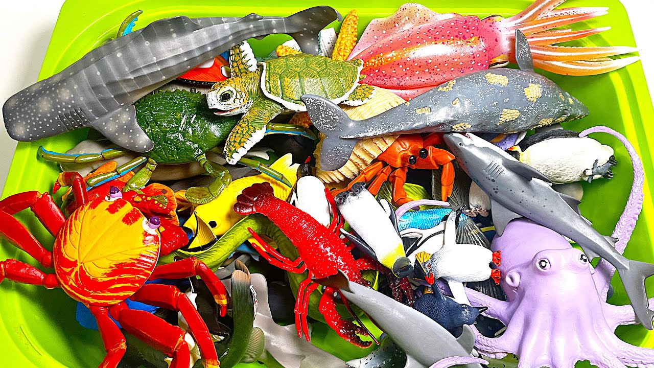 40 Amazing Sea Animals Shark, Whale, Dolphin, Lobster, Crab, Squid ...
