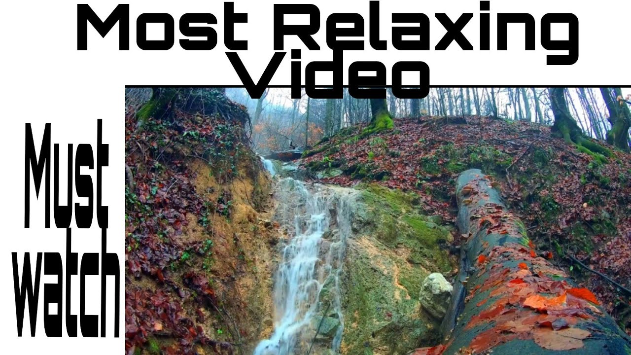 Relaxing video | sleepy video | Most amazing video on internet | Nature ...