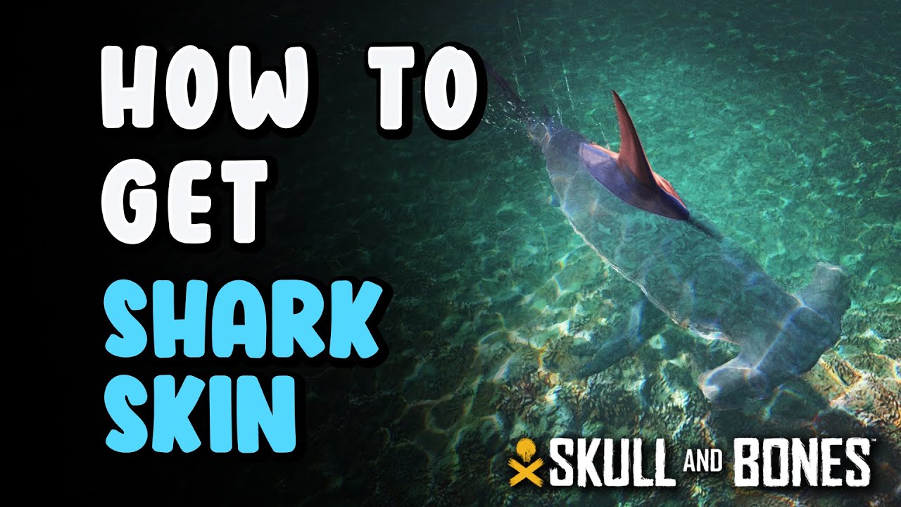 How to Get Shark Skin - Shark Skin Location | Skull & Bones - YouTube