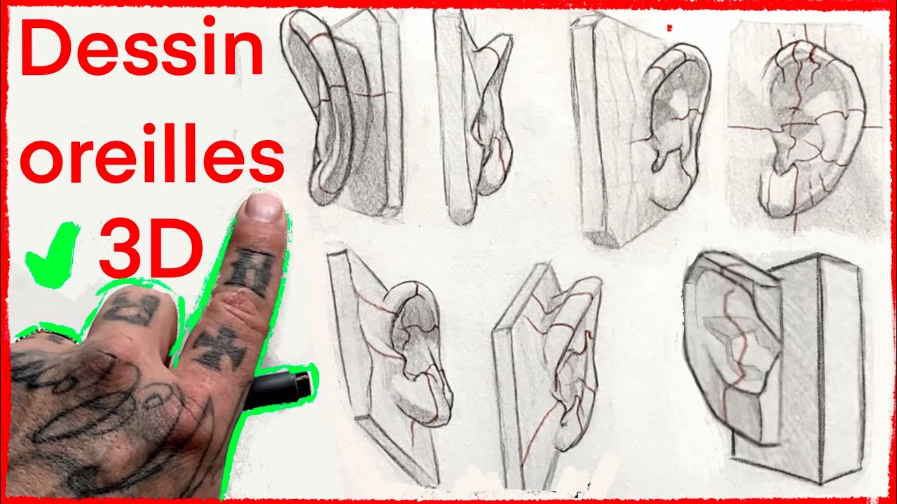 Comment dessiner les OREILLES en perspective - YouTube