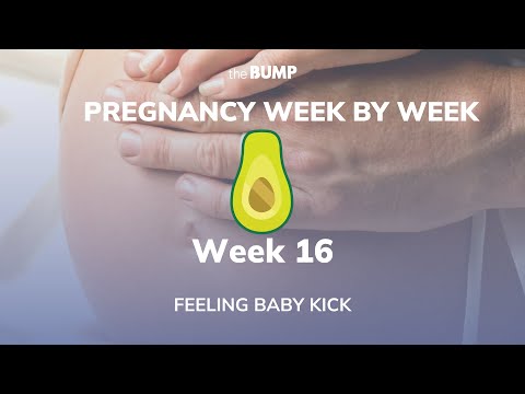 Pregnancy Week 16 | Feeling Baby Kick | Pregnancy Week By Week