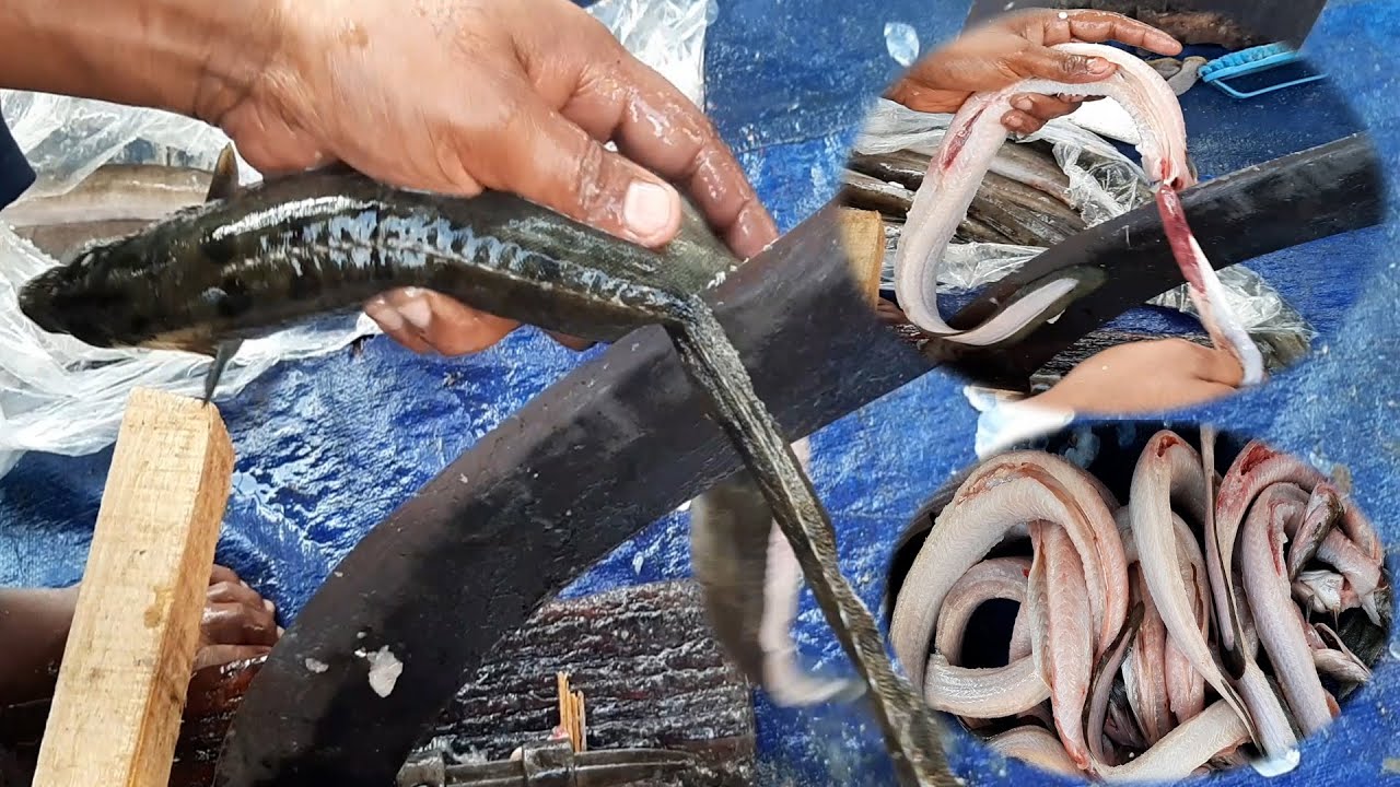 Amazing Fastest Cutting Fish: How To Remove Skin From Spiny Eel Fish ...