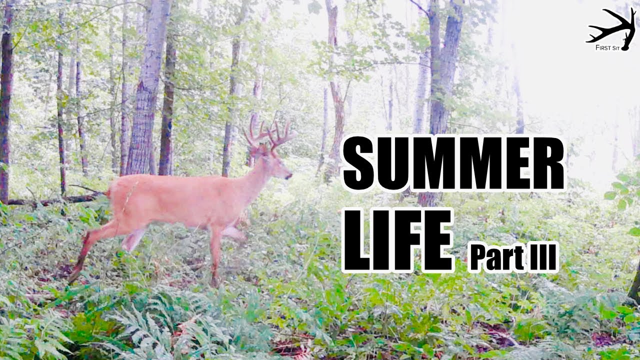 SUMMER LIFE | Part III - YouTube