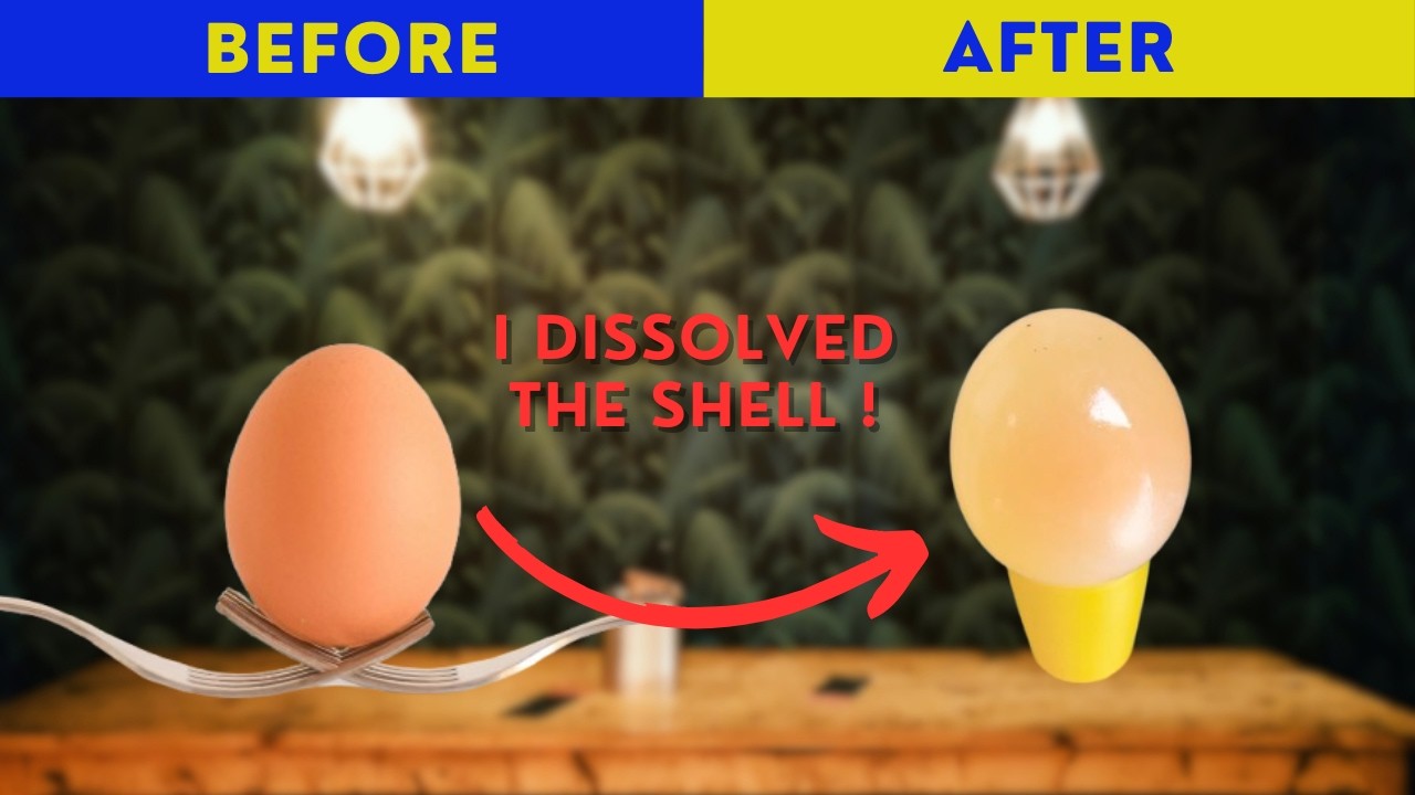 I DISSOLVED the SHELL of an EGG and ATE it ! - YouTube