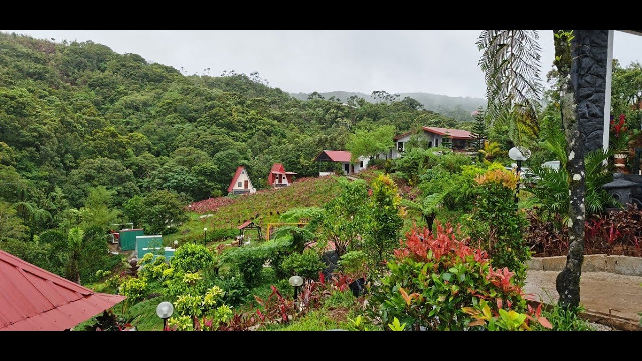 KM90 Eco Park and Restaurant, Infanta Quezon - YouTube