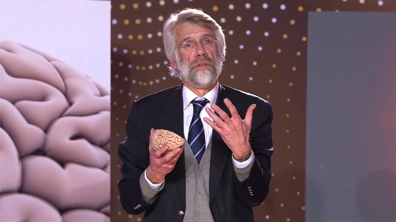 Neuropsycholoog prof. dr. Erik Scherder vertelt over de werking van ...