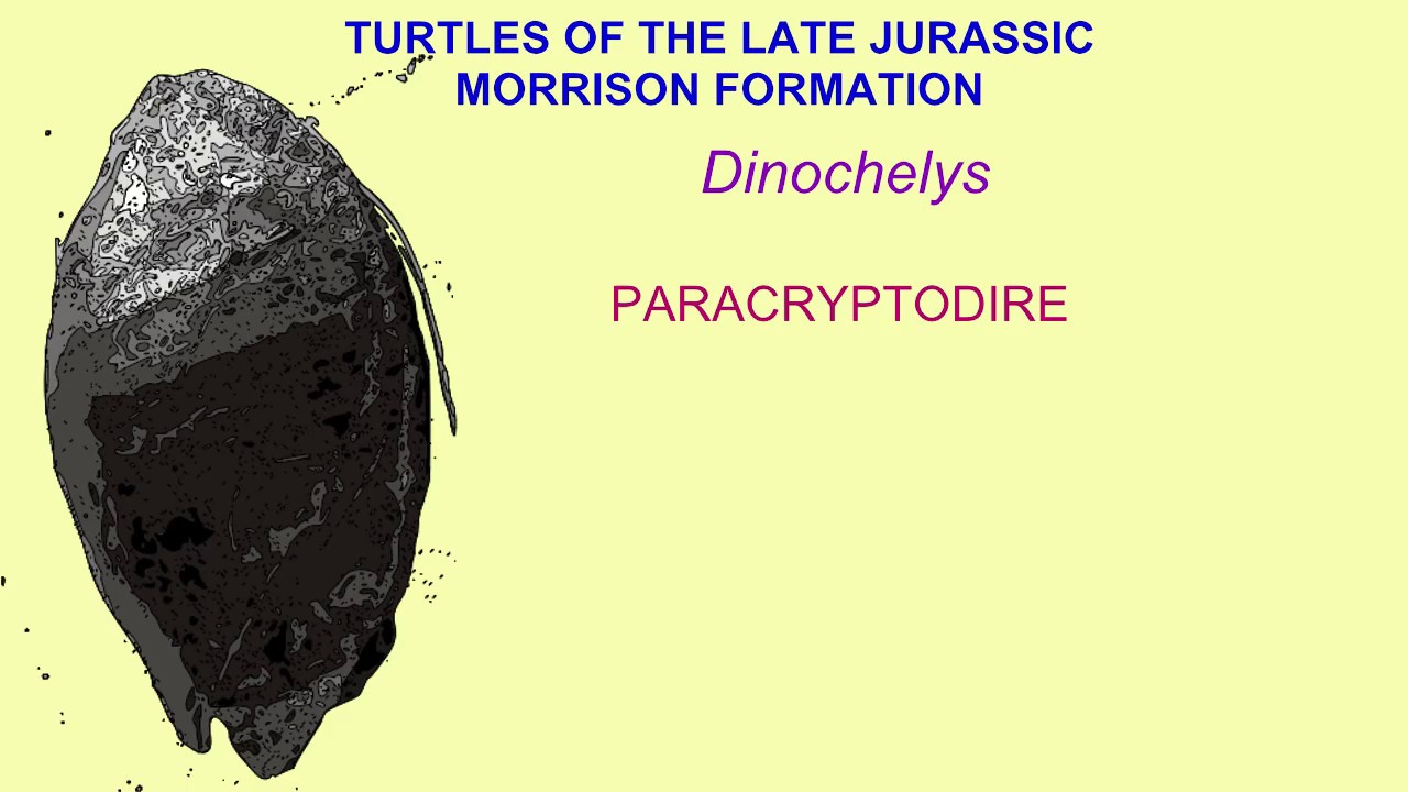 aquatic reptiles of the Late Jurassic Morrison Formation - YouTube