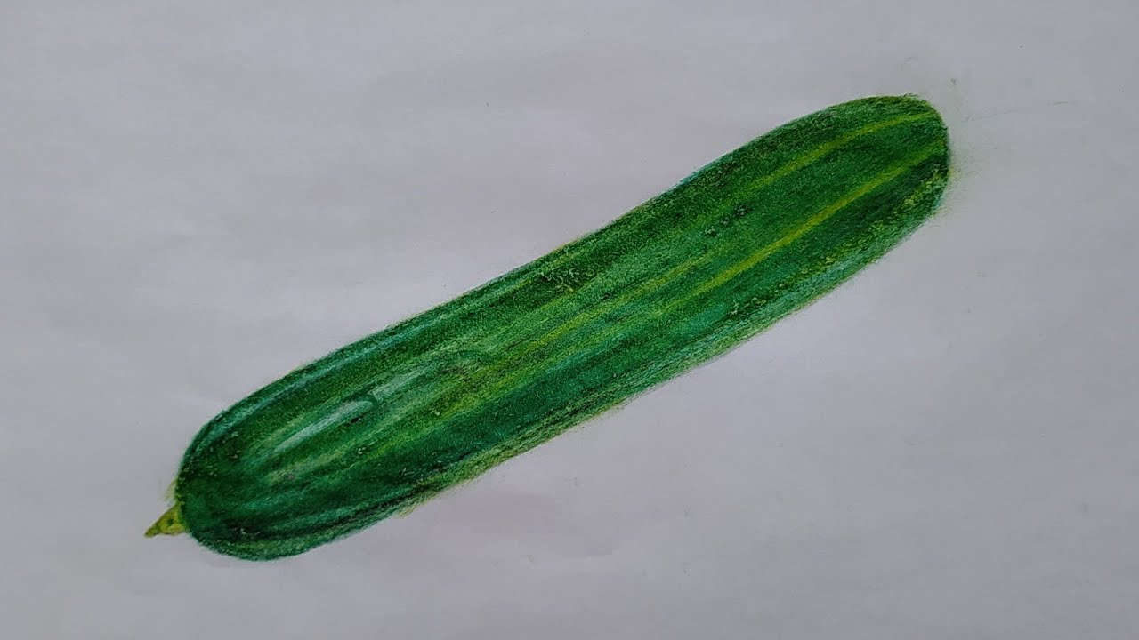 Rəsm - Xiyar Necə Çəkilir - How to Draw Cucumber - YouTube