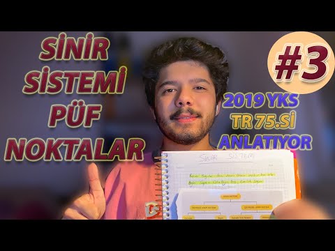 10 DK'da SİNİR SİSTEMİ tekrarı❗️ | MEB defterim ile biyolojiyi bitiriyoruz ✅