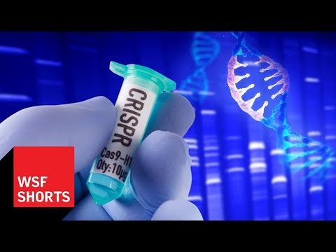 A Brief History of Gene Editing | Safe Videos for Kids
