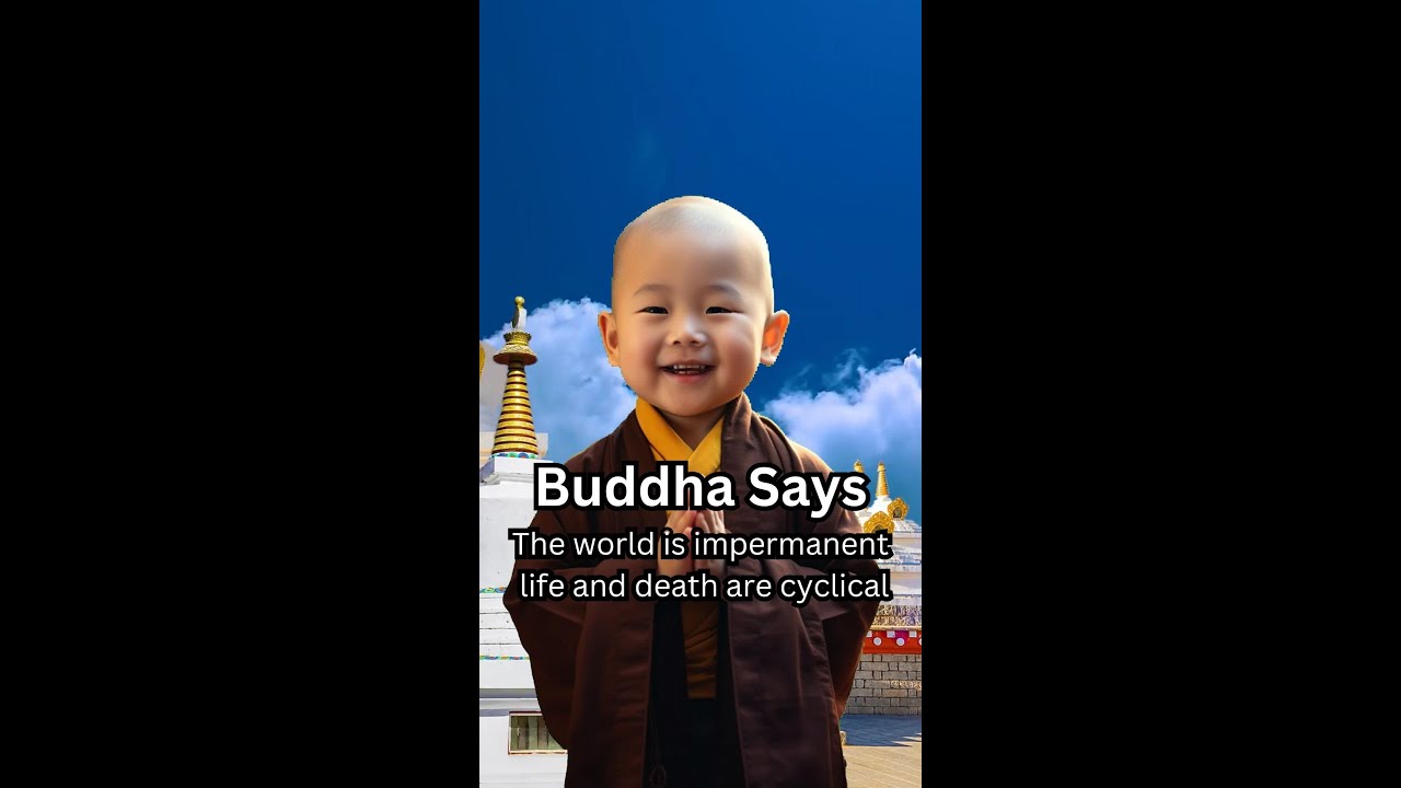 Buddha Says - The world is impermanent, life and death are cyclical ...