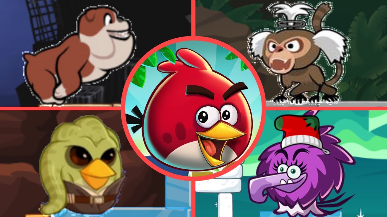 Angry Birds Maker Rio 6 - All Bosses (Luta dos Bosses) - YouTube