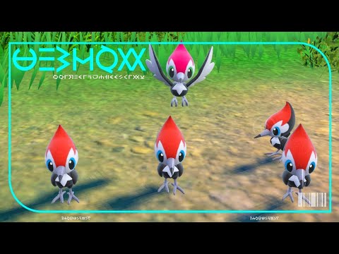 SHINY PIKIPEK in Pokemon Scarlet and Violet - YouTube