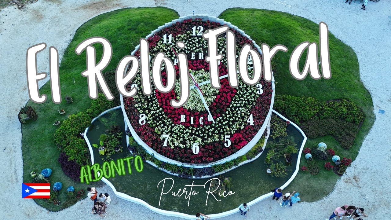 HERMOSO!!! 🍛🪴🌺🌸🥪🍹📷 EL RELOJ FLORAL (2023), Aibonito Puerto Rico🇵🇷 - YouTube
