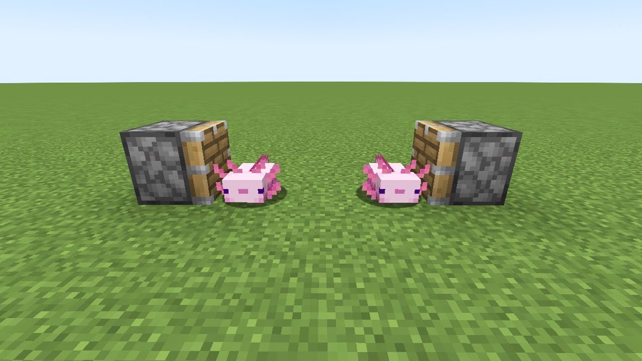 Giant Axolotl? | Minecraft - YouTube