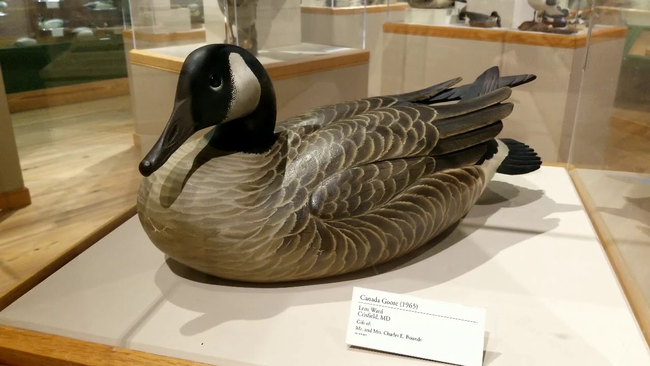 Ward Museum of Wildfowl Art - YouTube