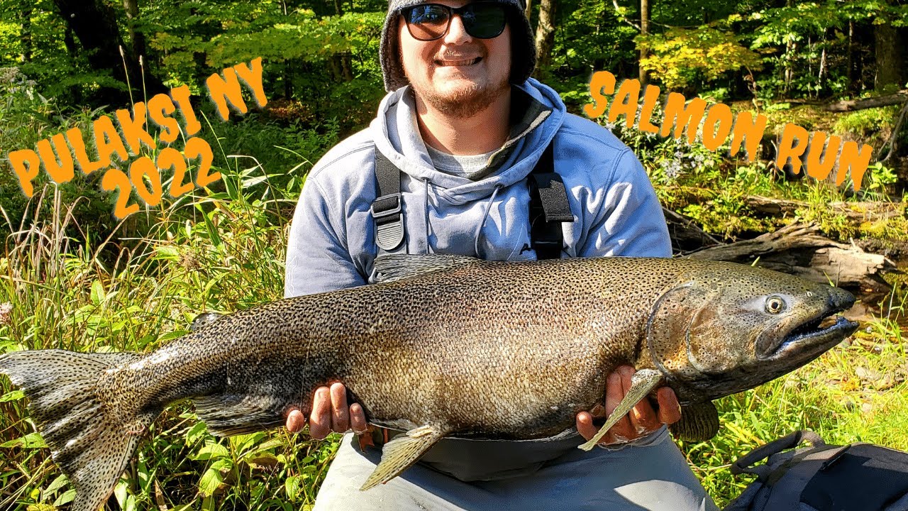 SALMON FISHING ON WORLD FAMOUS SALMON RIVER PULASKI NY 2022 - YouTube