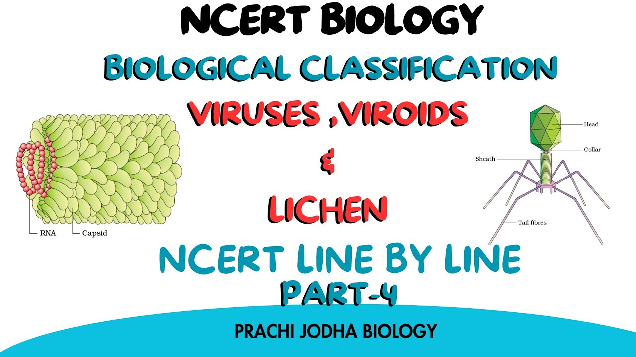 BIOLOGICAL CLASSIFICATION NCERT REVIEW|NCERT LINE TO LINE CLASS XI | # ...