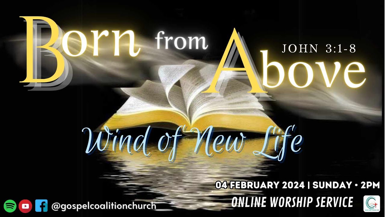 Born from Above: Wind of New Life - YouTube