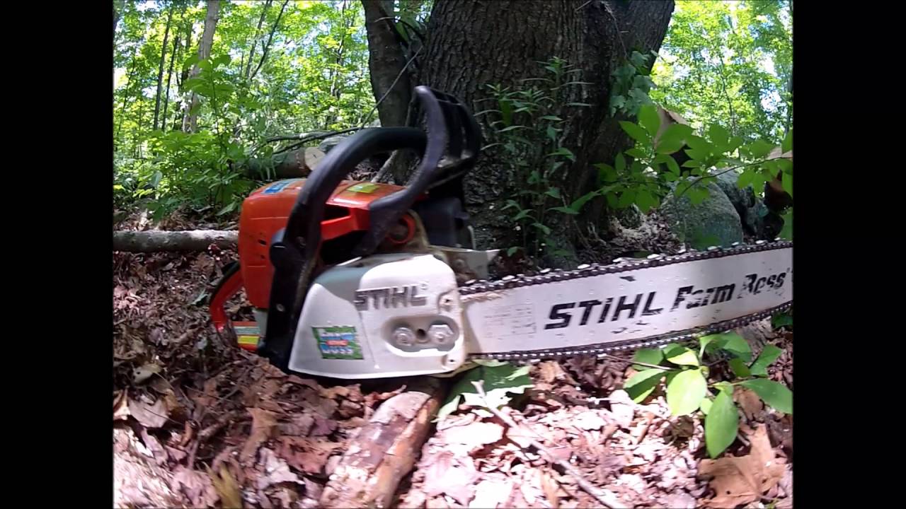 How to cut down a maple tree in a tricky spot - YouTube