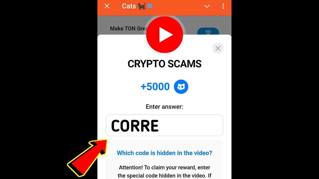CRYPTO SCAMS Cats Video Code | CRYPTO SCAMS cats video code today 21 december - YouTube