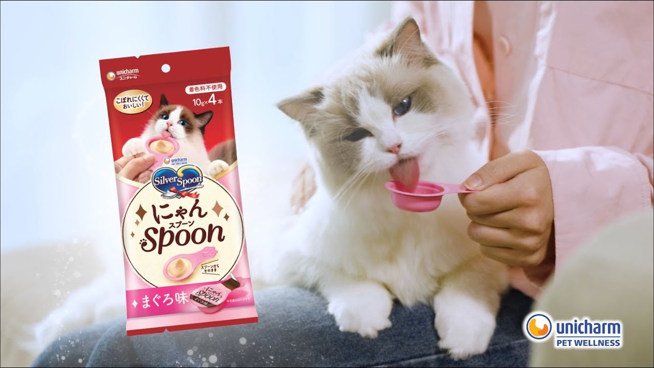 NEW! Silver Spoon - The First Spoon Cat Treats! - YouTube