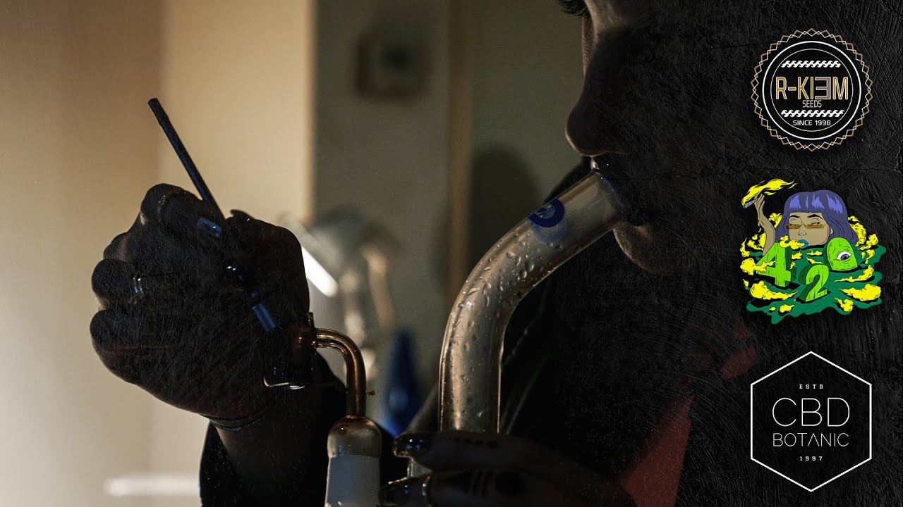 4.20 Degustación muestra ganadora SPANNABIS 2019 CBD/BHO "PIHAZE" - YouTube