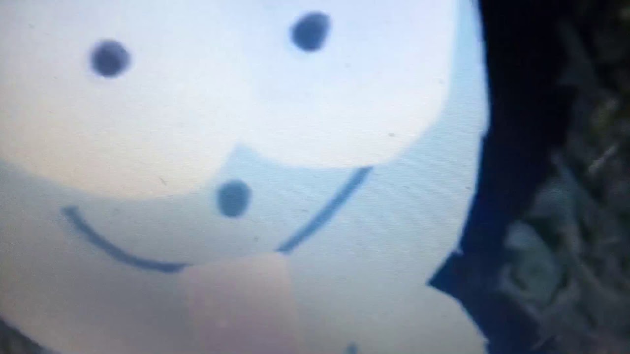 S1 E5: Squirrels invention - YouTube