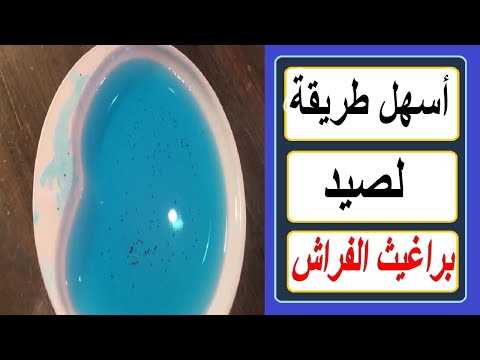 #التخلص_من_البراغيث / كيفية التخلص من البراغيث في الفراش نهائيا
