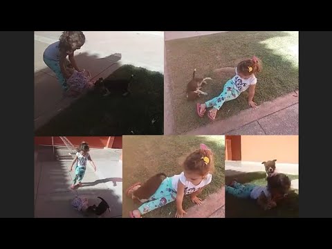 Brincadeira de criança - Minha cachorrinha comeu minha boneca e fez bagunça - Baby Alive