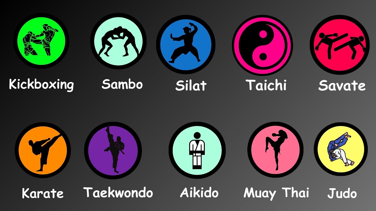 Every Martial Art Type Explained In 8 Minutes(easy) - YouTube