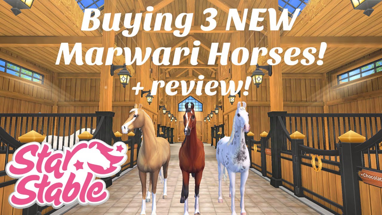 Buying 3 NEW Marwari Horses! | Review | Star Stable Online - YouTube