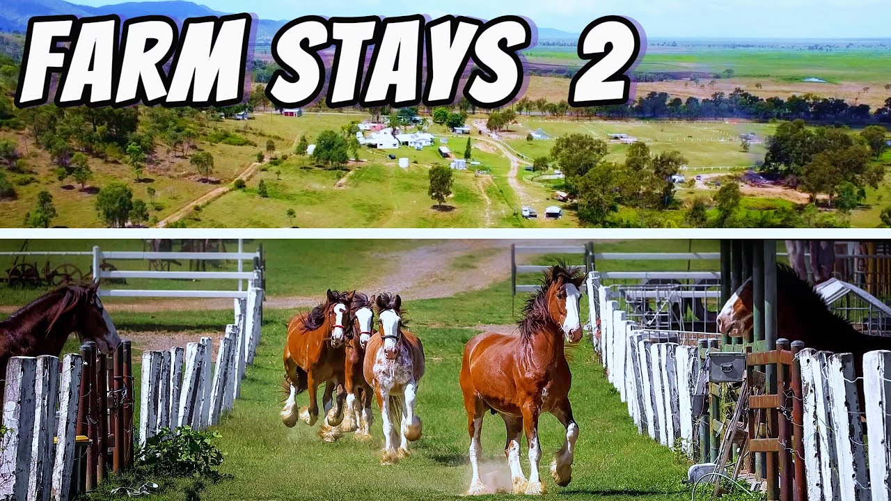 Shiralee Clydesdales Farm Stay - YouTube