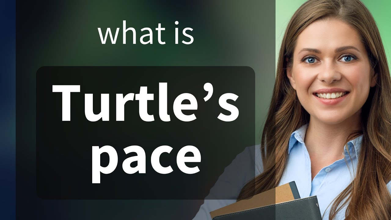 Understanding "Turtle's Pace": A Guide to English Idioms - YouTube