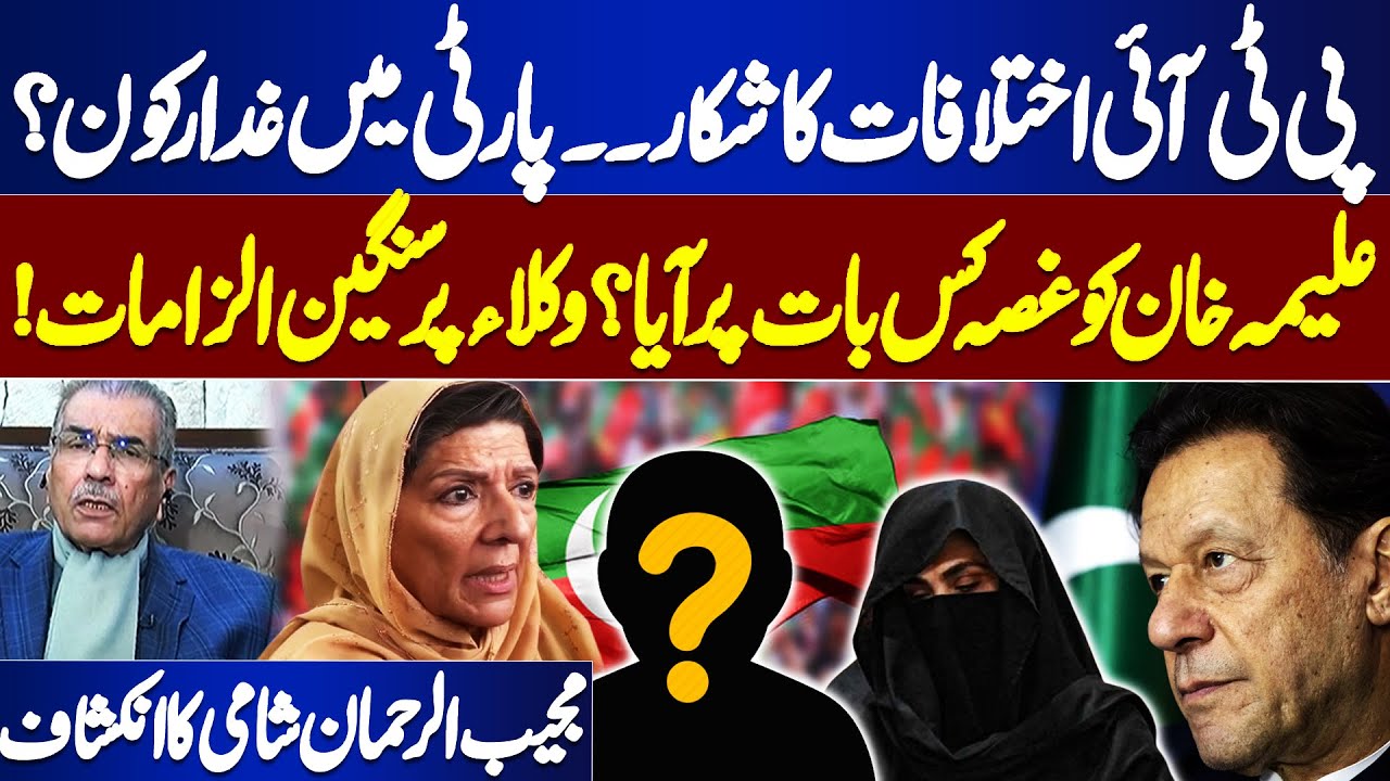 Differences in PTI? | Aleema Khan Angry? | Allegations Against PTI Lawyers | Mujeeb ur Rehman ...