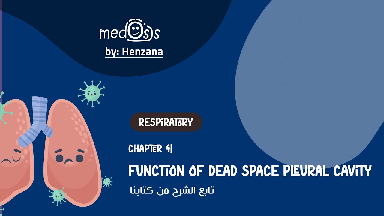 #resp | chapter 4 | (3) Function of dead space pleural cavity lung ...