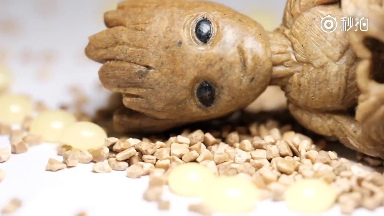 【Guardians of the Galaxy】Groot Baby resurrection - YouTube