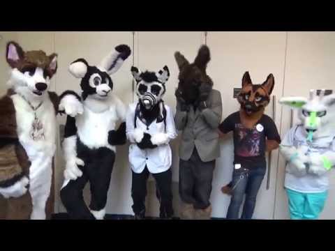 What is a furry? - YouTube